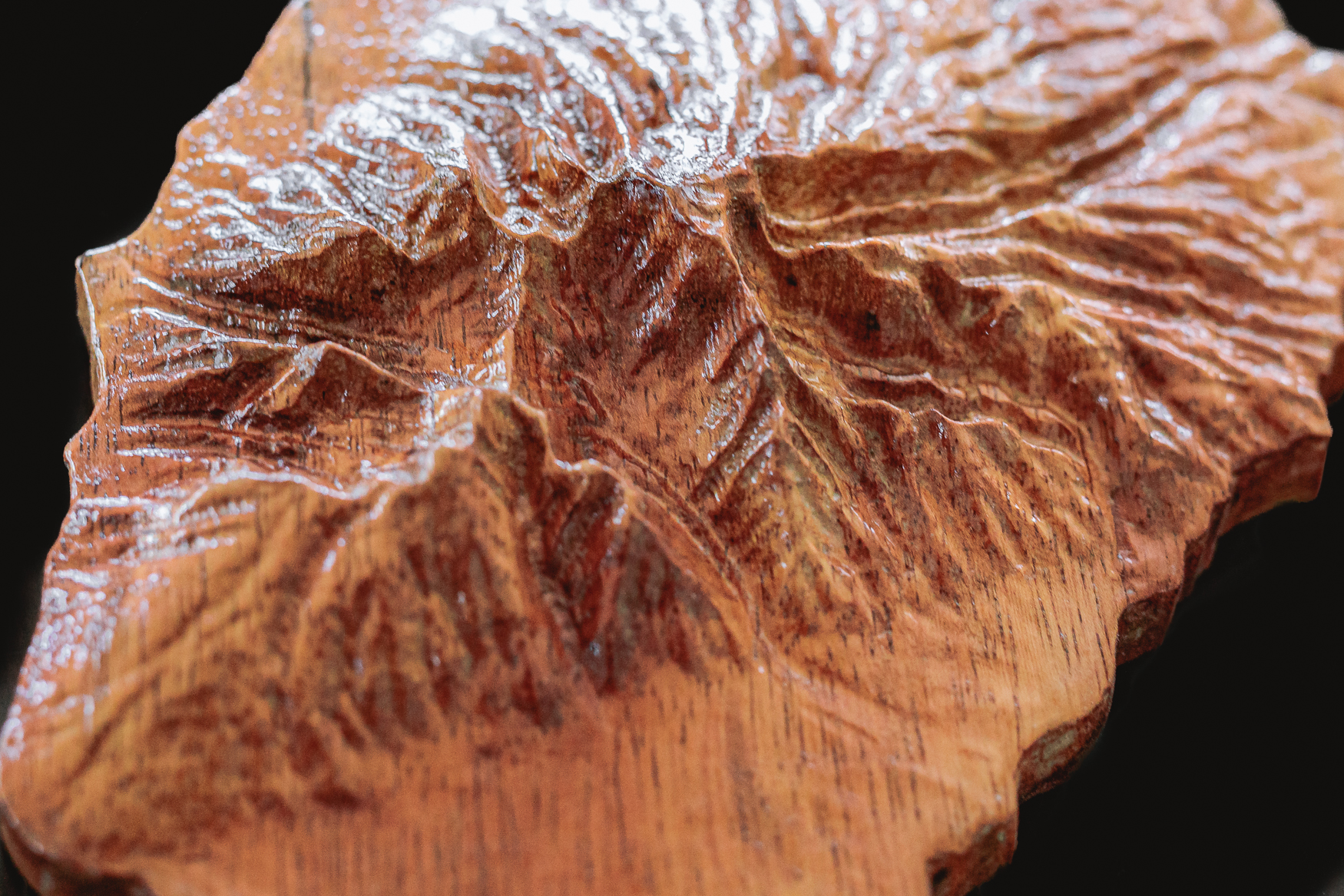 Maui Topographic Map Koa